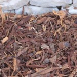 North Carolina Shredded Pine Bark Mulch | thbluemulch.com